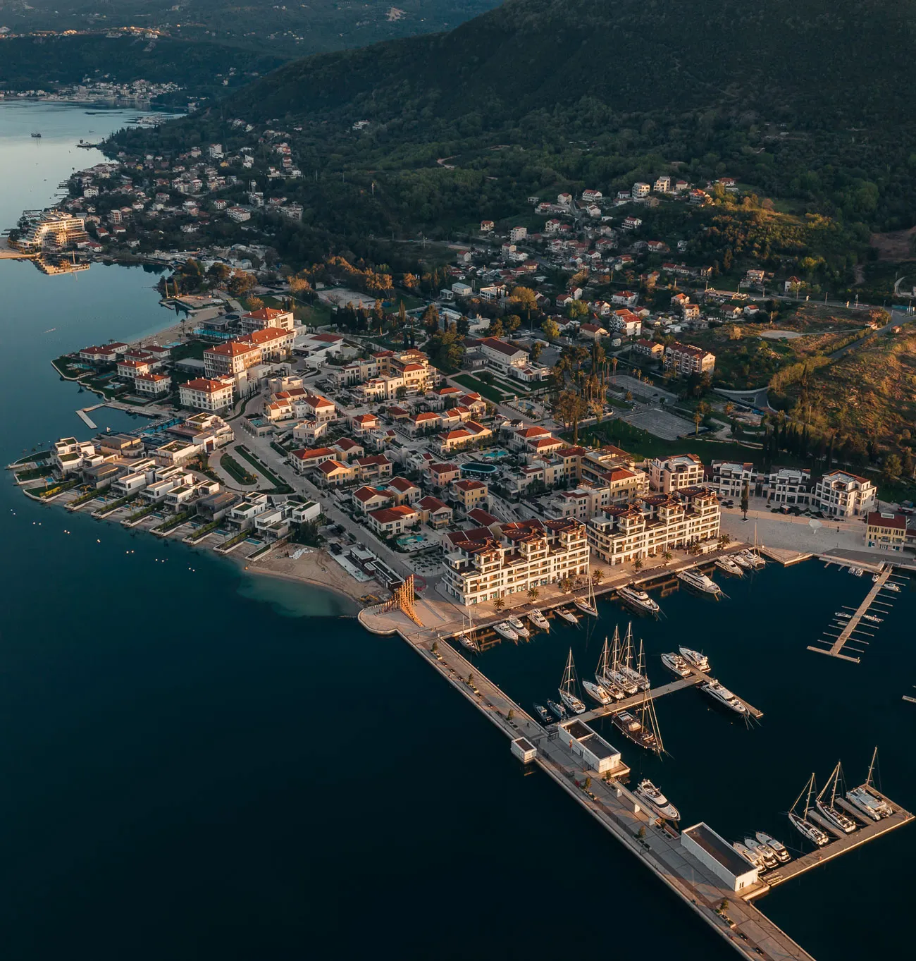 Portonovi Blog | How Portonovi Meets All Development Trends